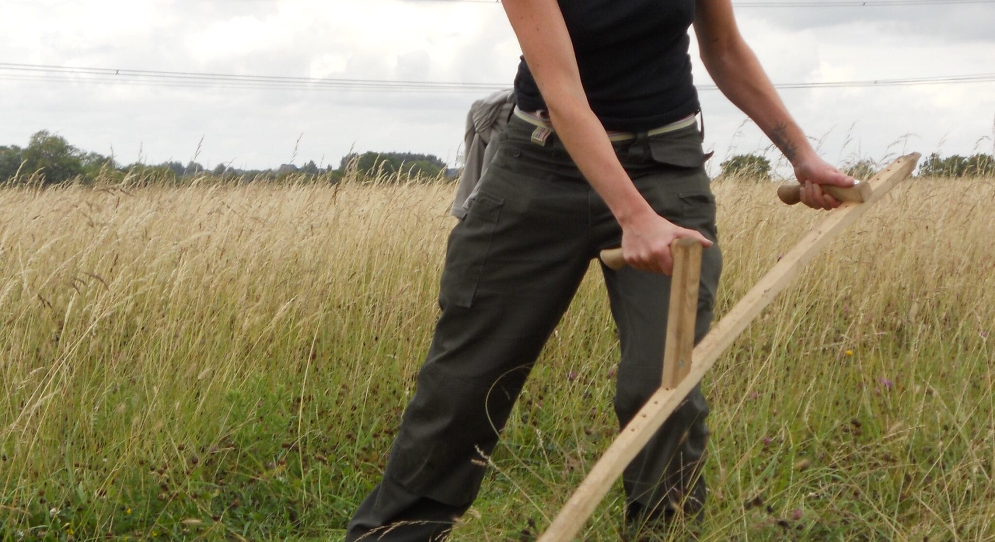 Scythe training, mowing services and advice - The Joy of Scything